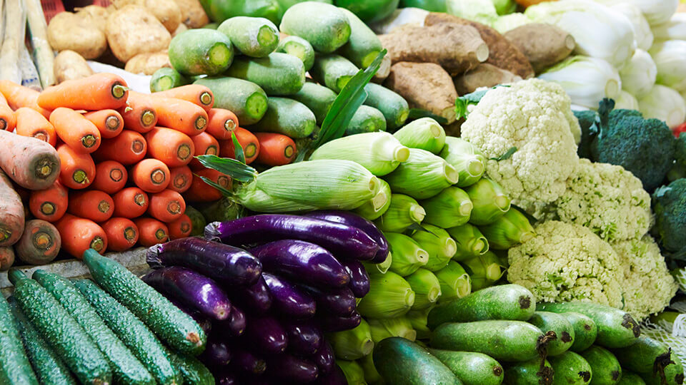 Natural Environment Harmonization Product | EcoVision | Commitment to ...