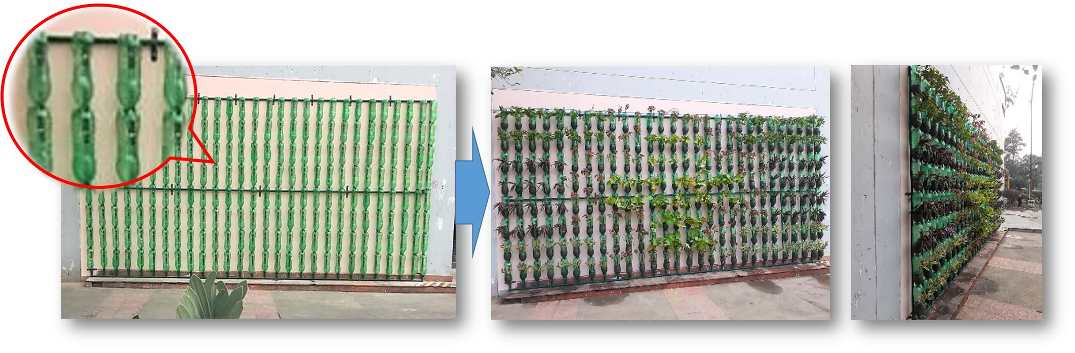 Natural symbiotic action | EcoVision | Commitment to the Environment ...