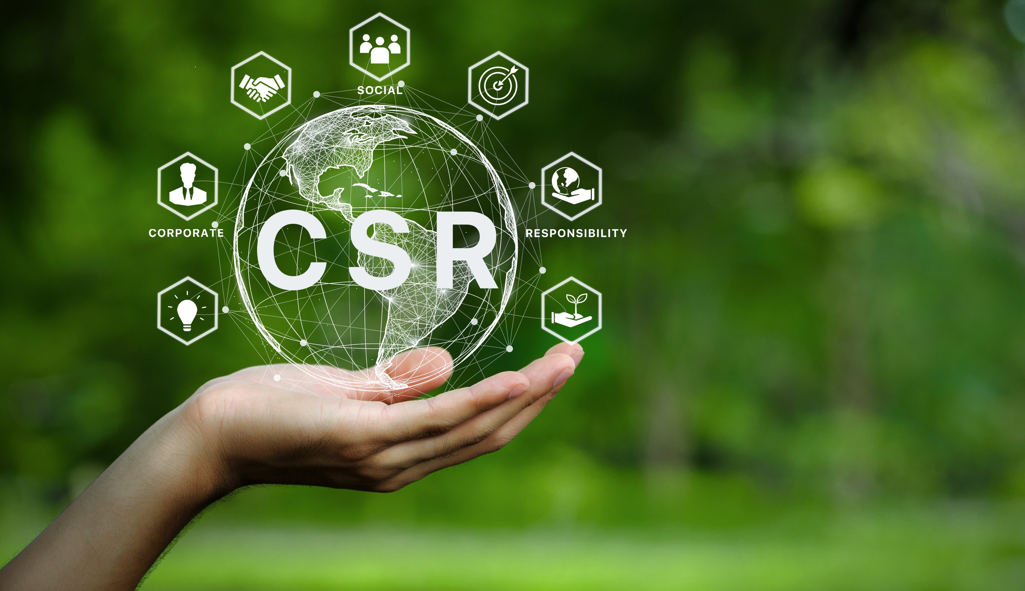 株式会社デンソーワイパシステムズ