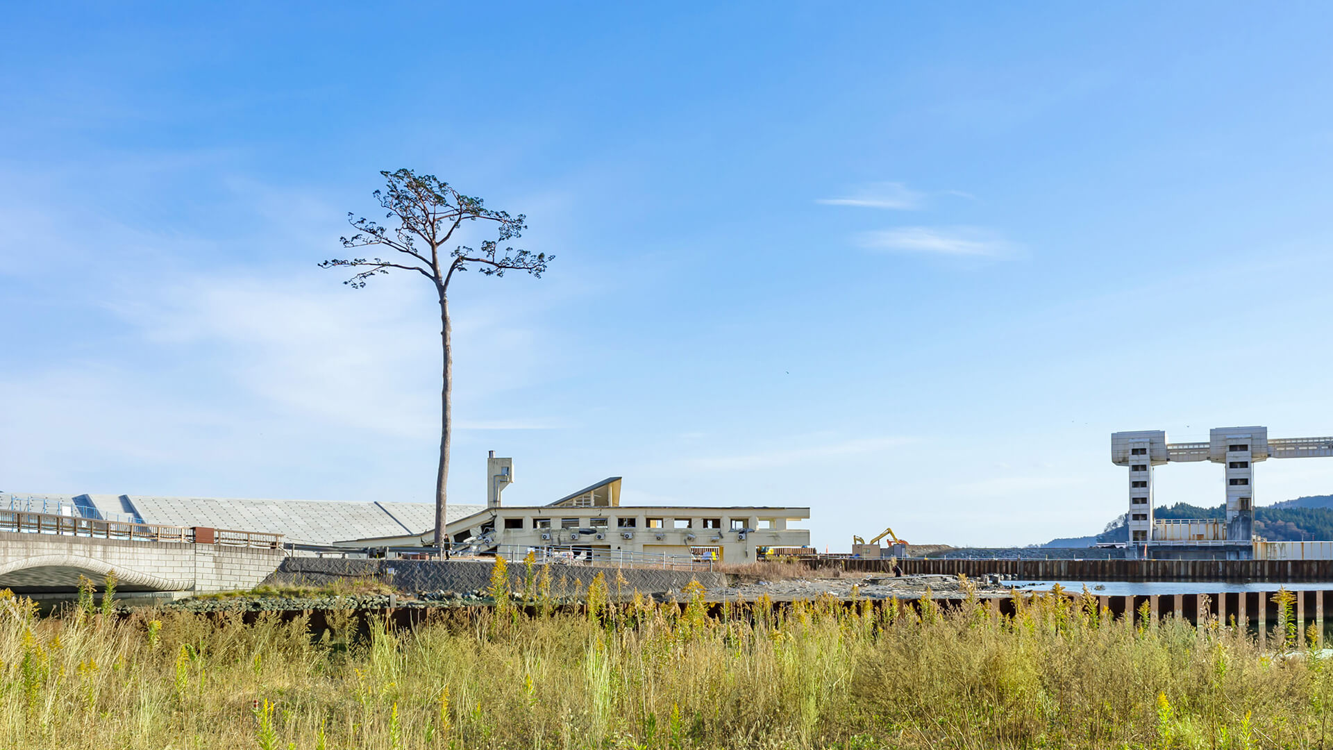 Sitio web de DENSO México