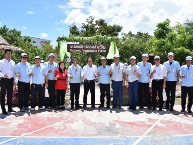 DNTH DTTH และ ADTH จัดกิจกรรมวันสิ่งแวดล้อมโลก | ข่าวสาร | เว็บไซต์เด็น ...